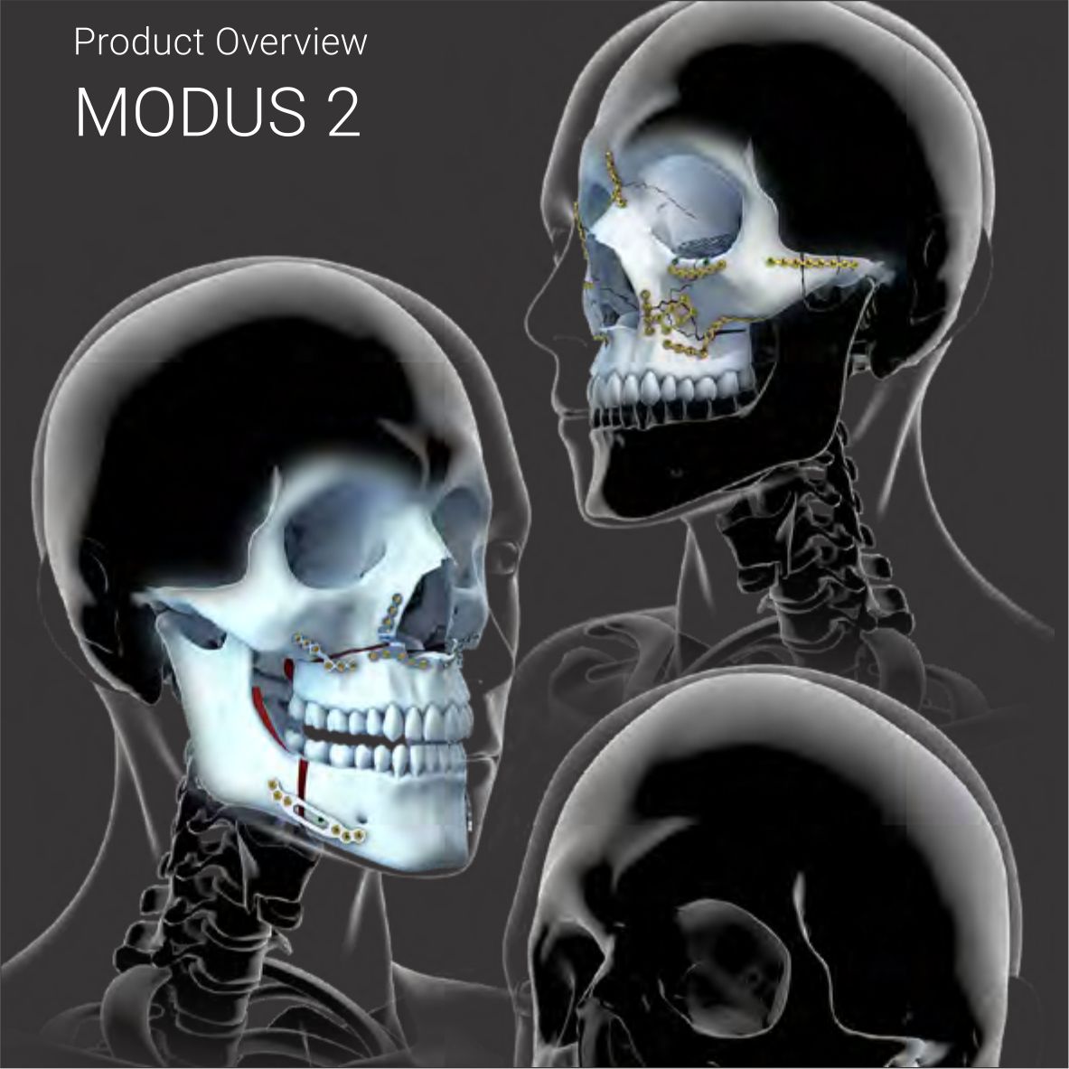 Products – Biomedical Life Science